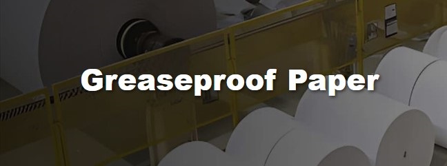 Greaseproof Paper Supplier & Exporter - Nandyavart Group